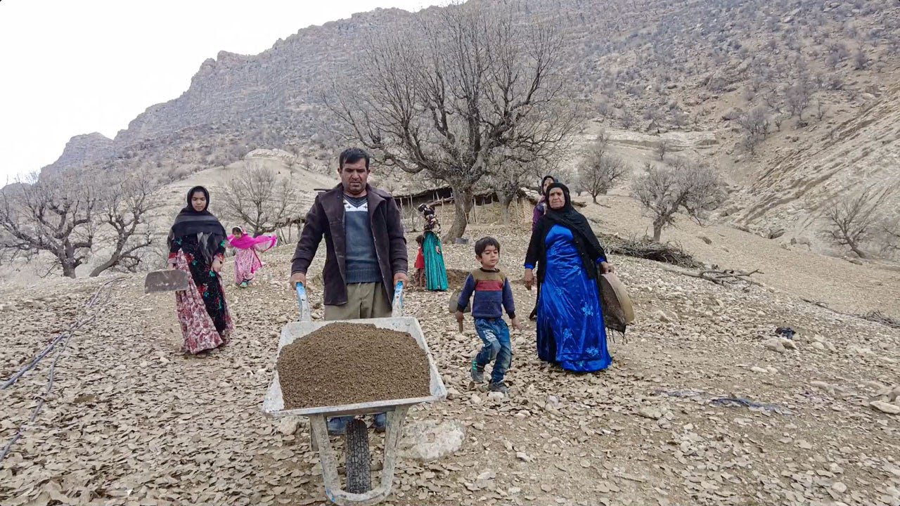 Building a Hay Feeder in Goat Barn _ Village Lifestyle of Iran [ 2023 ...