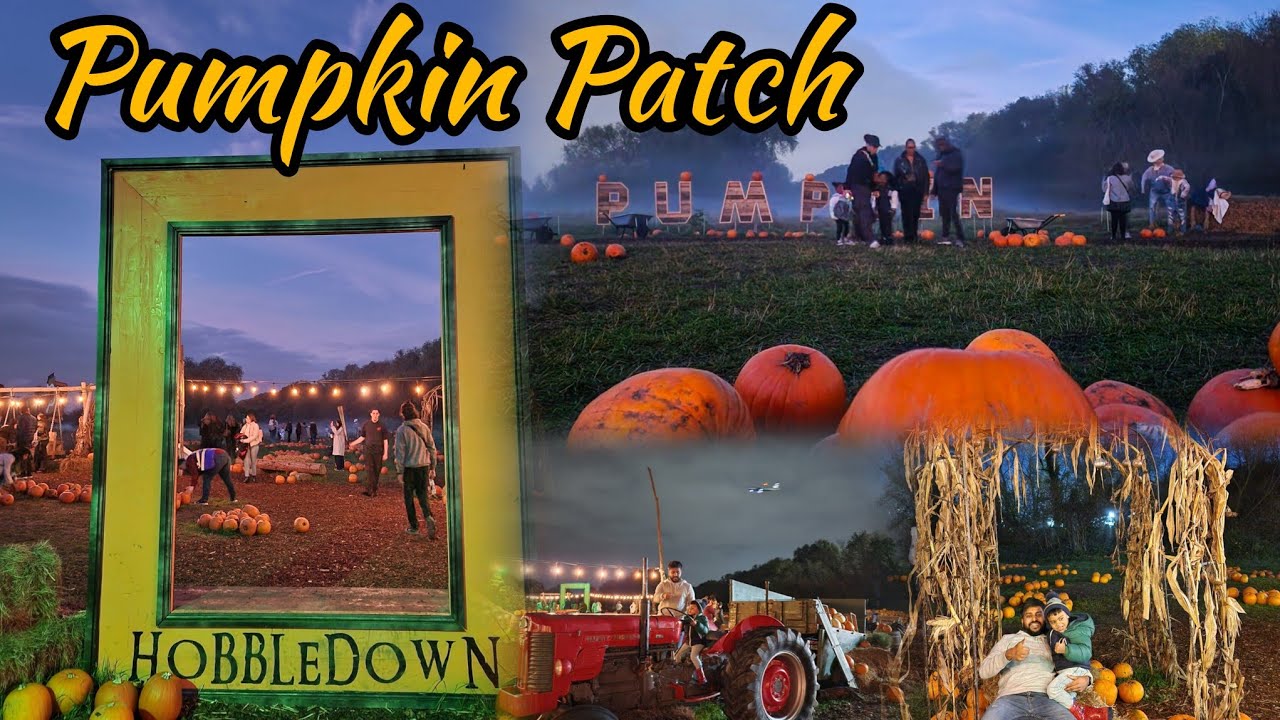 Pumpkin Patch 🎃 at Hobbledown Heath, Hounslow, London, Halloween, Kids ...