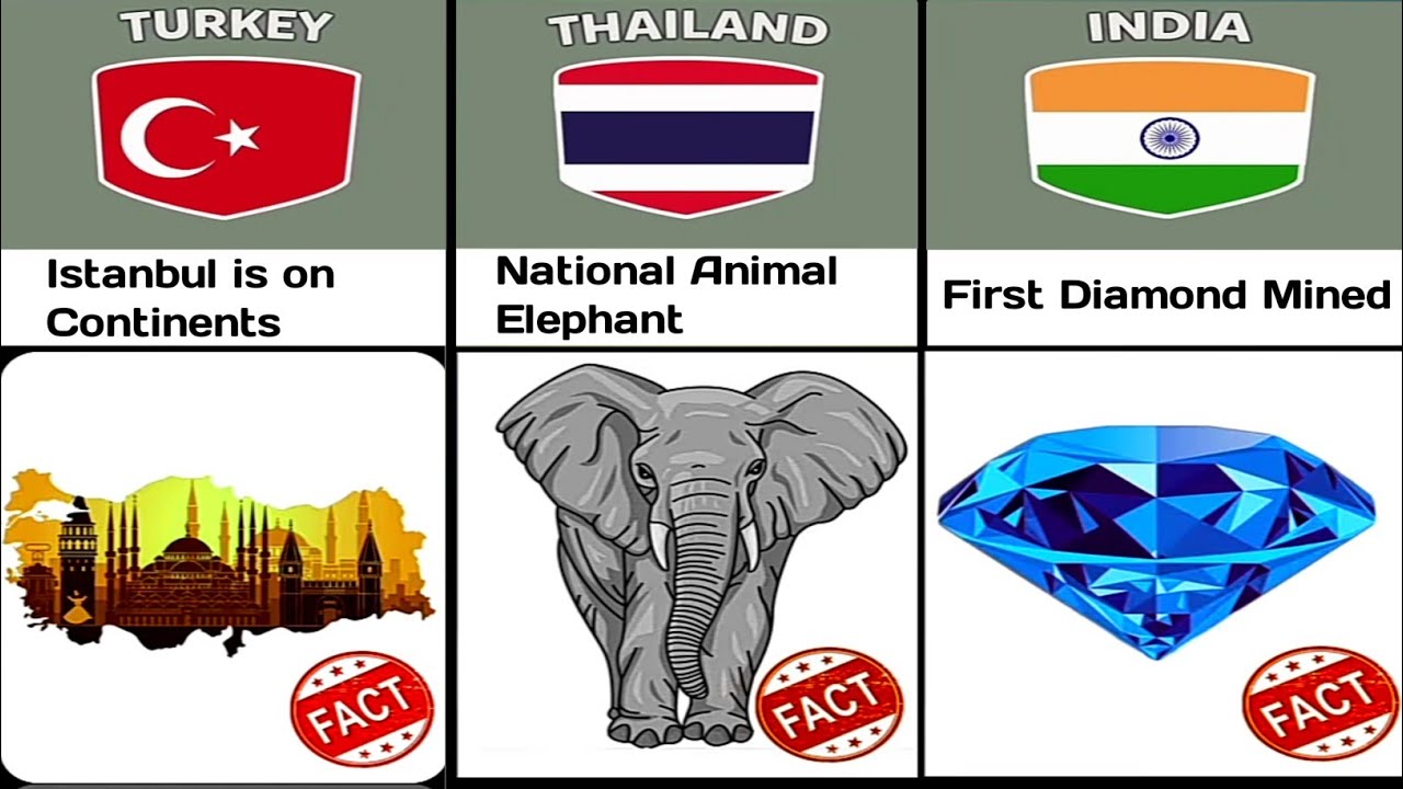 Interesting Facts From Different Countries || Facts About From ...