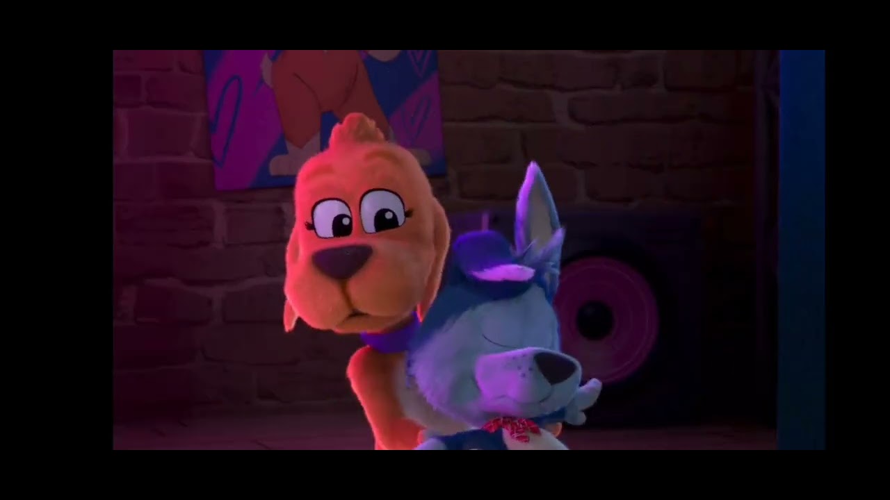 Vai cachorro, vai _ Kelly Corgi _ "Minha cauda não mente - YouTube