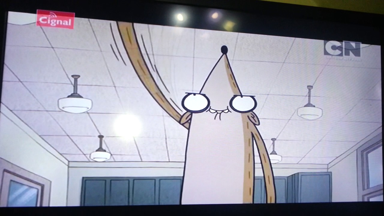 Rigby is dreaming the HS Diploma - YouTube