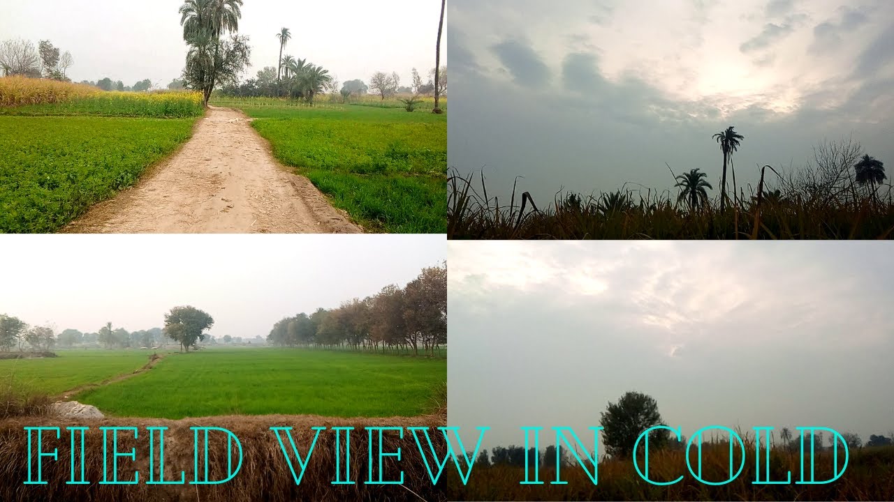 Field view in Cold | Vlog | VLoGEe MunDa - YouTube