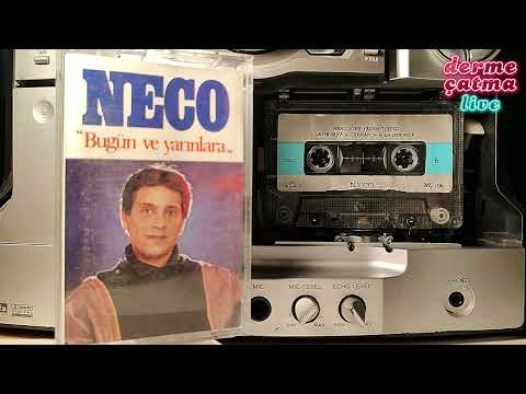 Hani - Neco (Orijinal Kaset Kaydı) #eurovision