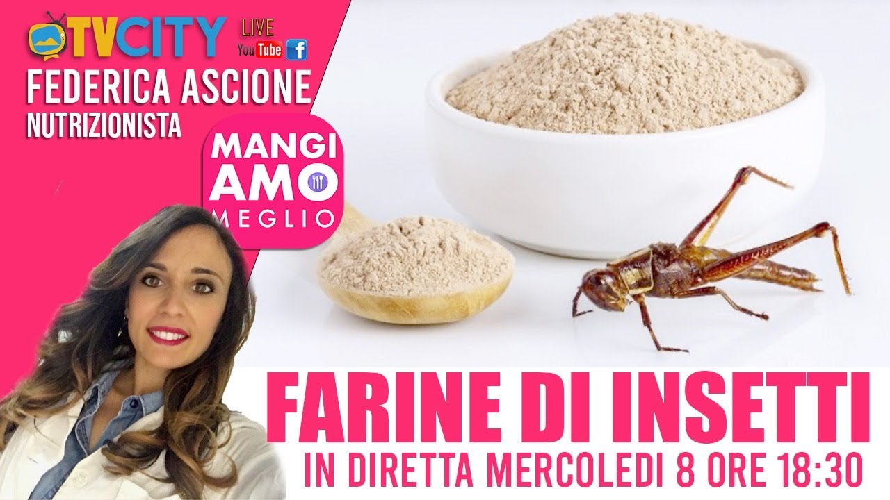 Farine di insetti - TVCITY Mangiamo meglio - YouTube
