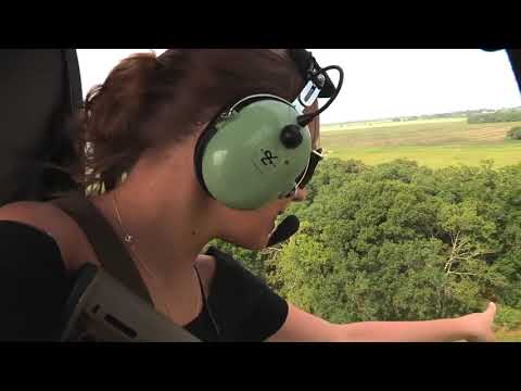 Helicopter Hog Hunting   Adventure Video   HeliBacon