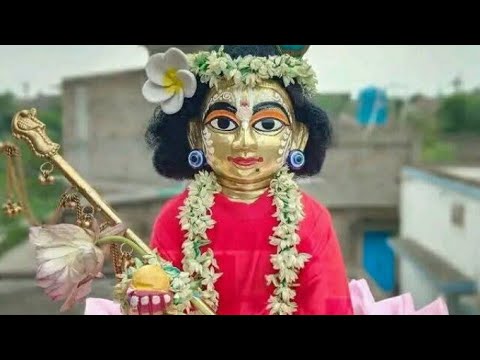 CRAZY DOLL 7890 is live! Welcome everyone - YouTube