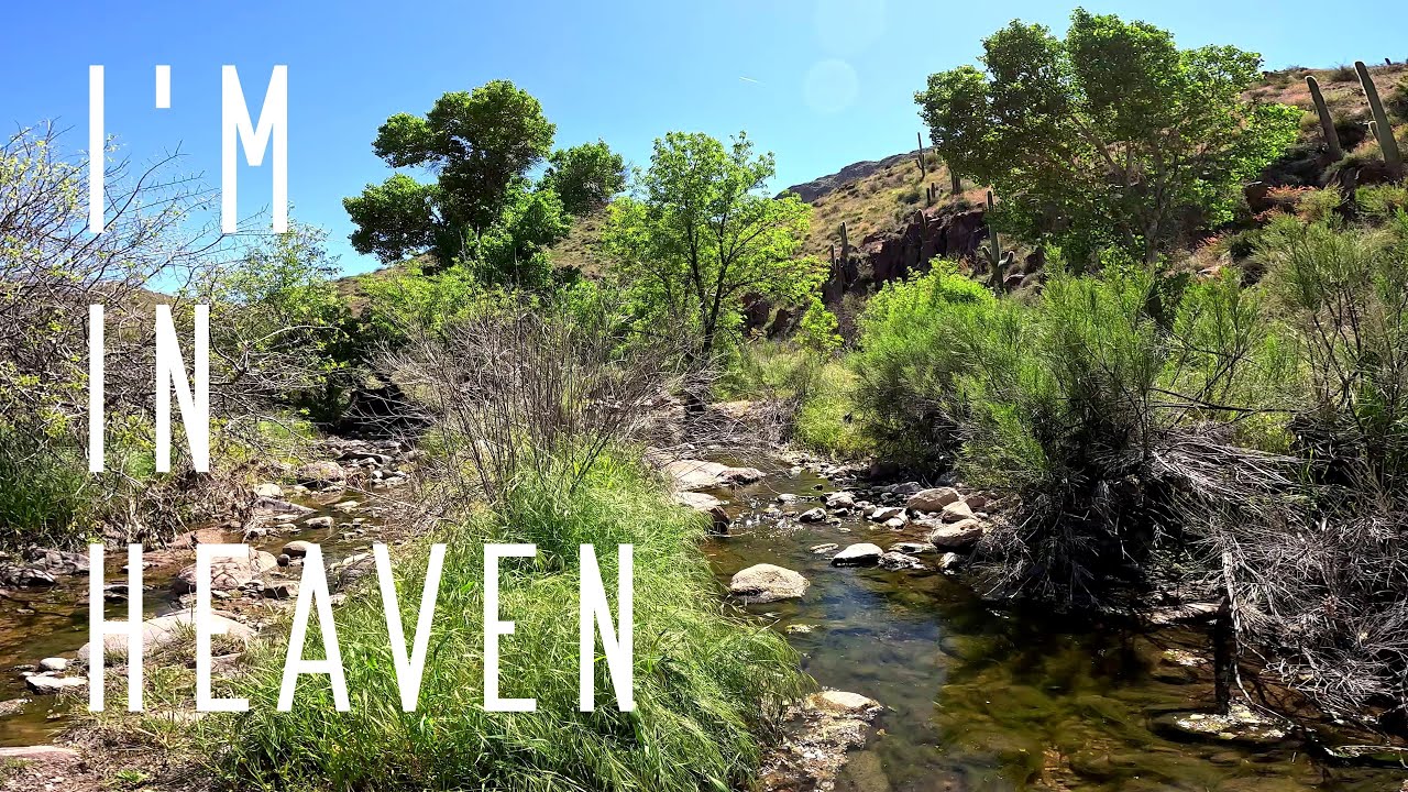 Charlebois Spring is my new favorite Superstition Mountains Hike! - YouTube