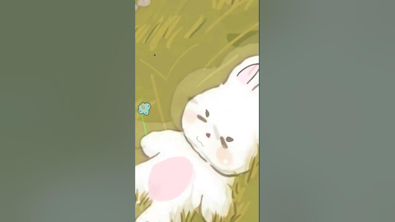 bé thỏ ngủ phè - YouTube