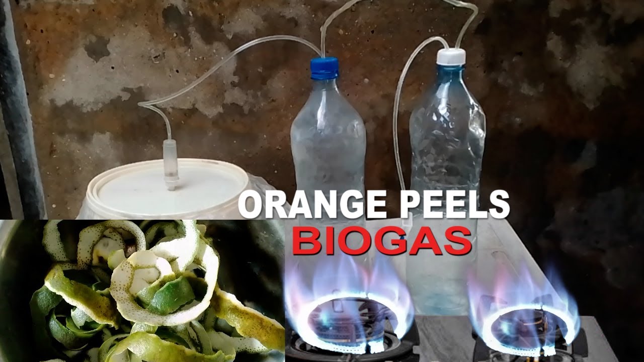 How to make biogas with Orange Peels at home | Biogas | free cooking ...
