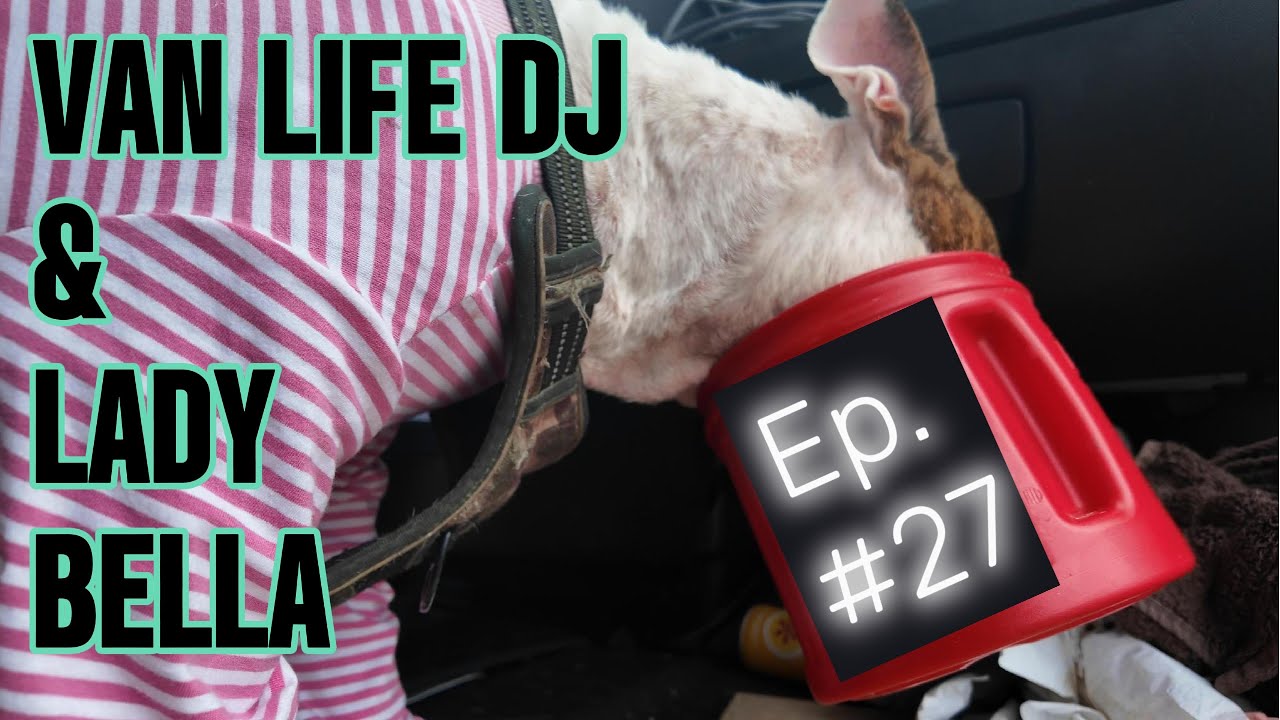 Is Van Life With Pets A Stupid Idea & What 40k Vinyl Records Look Like ...