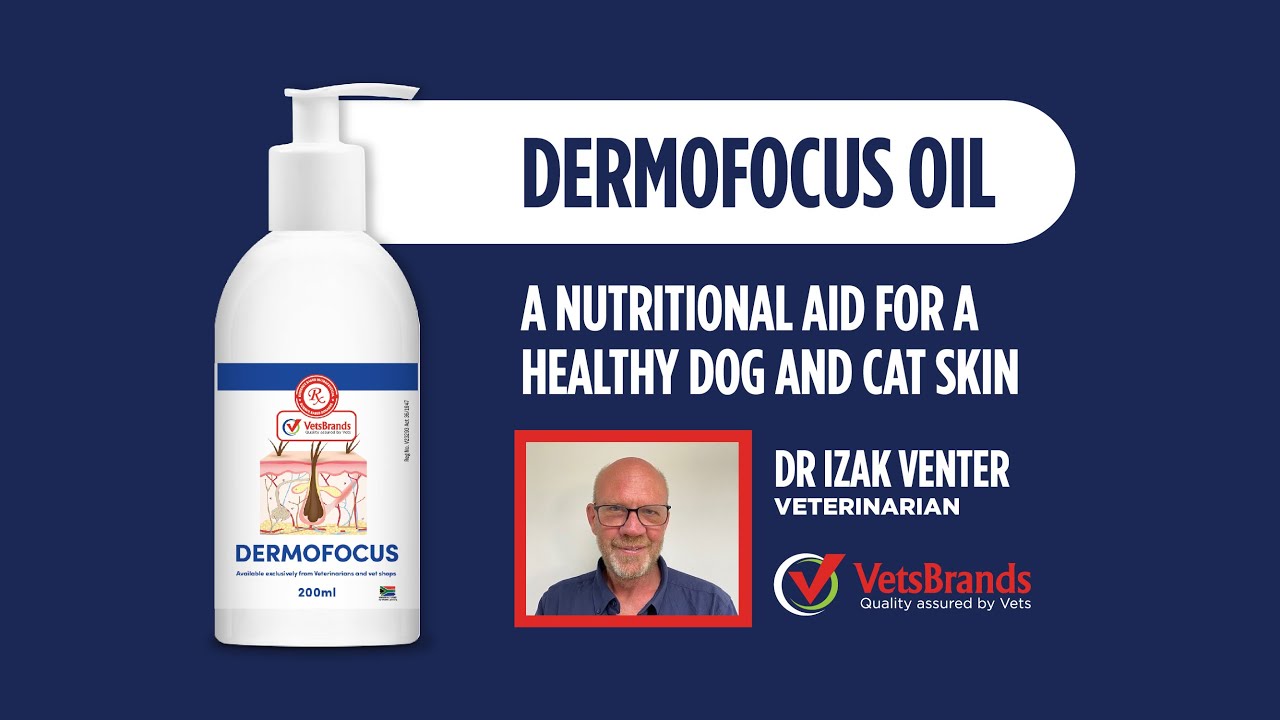 Support Your Pet’s Skin Health with DermoFocus - YouTube