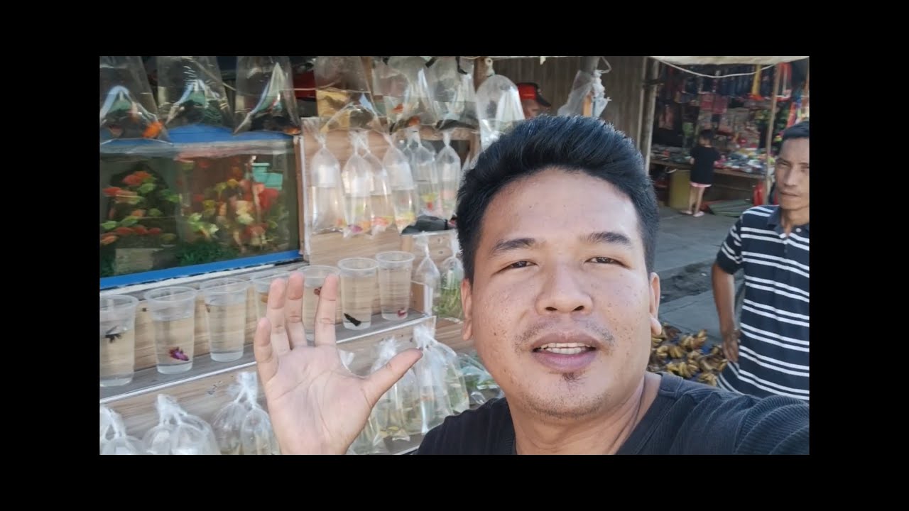 Ornamental fish & Plants sa Merkado Update! Mka Ship ba sya? - YouTube