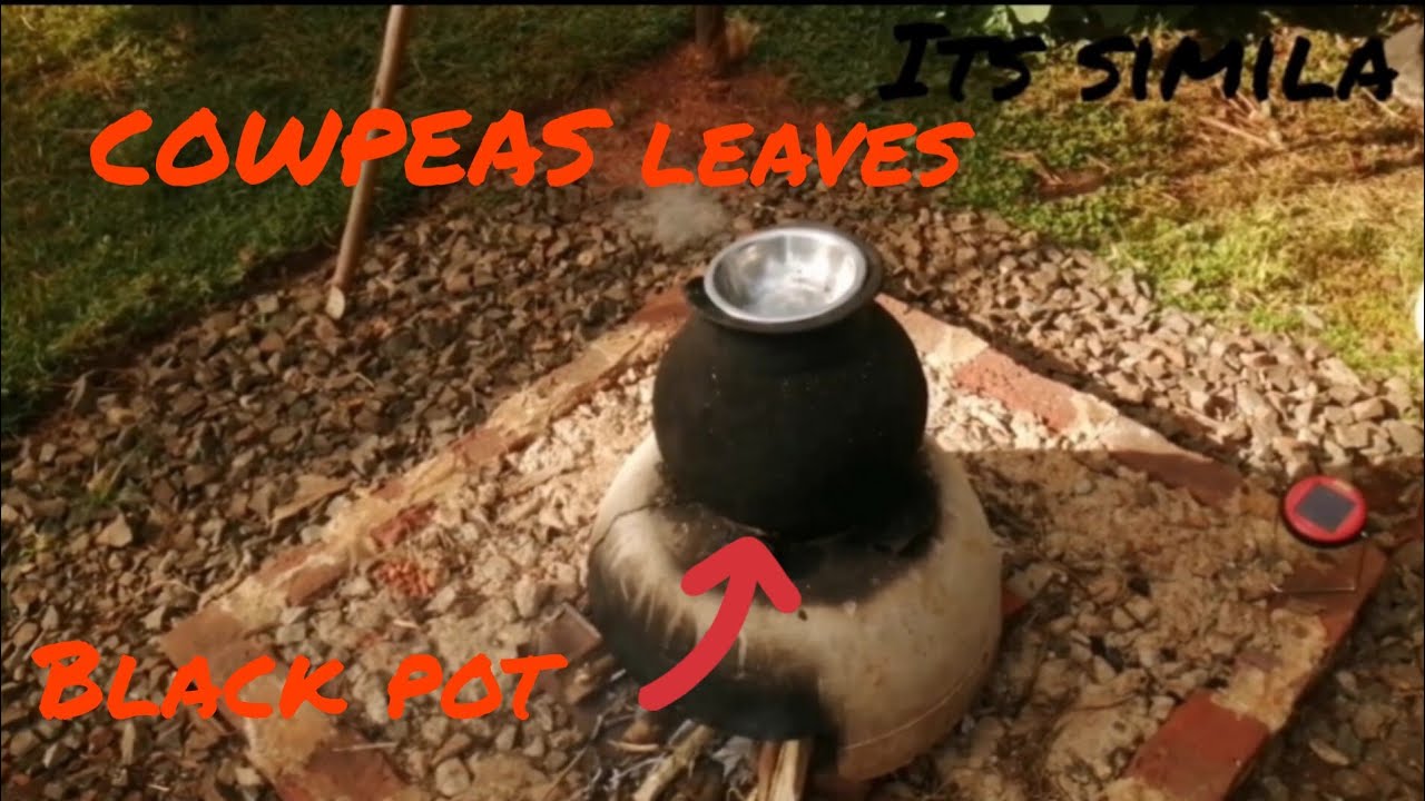 HOW TO COOK COWPEAS LEAVES (kunde) ||| VILLAGE LIFE/VLOG 🇰🇪🇰🇪@iammarwa ...
