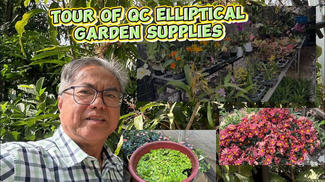 Tour of #quezoncity elliptical #garden supplies - YouTube