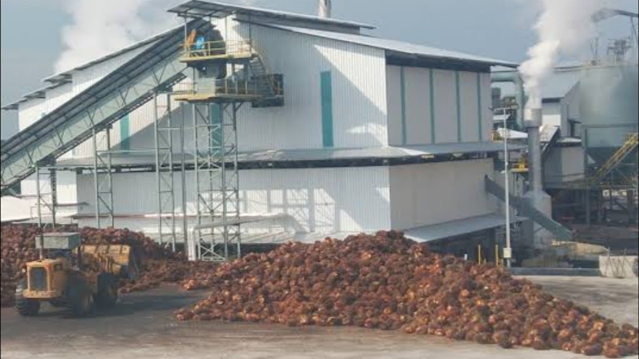 PALM OIL MILL INDONESIA 45 TPH - YouTube