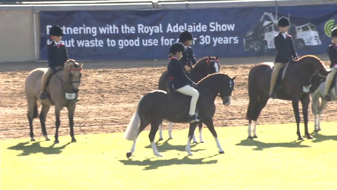 2016 Royal Adelaide Show Main Arena LIVE - Day 1 - YouTube