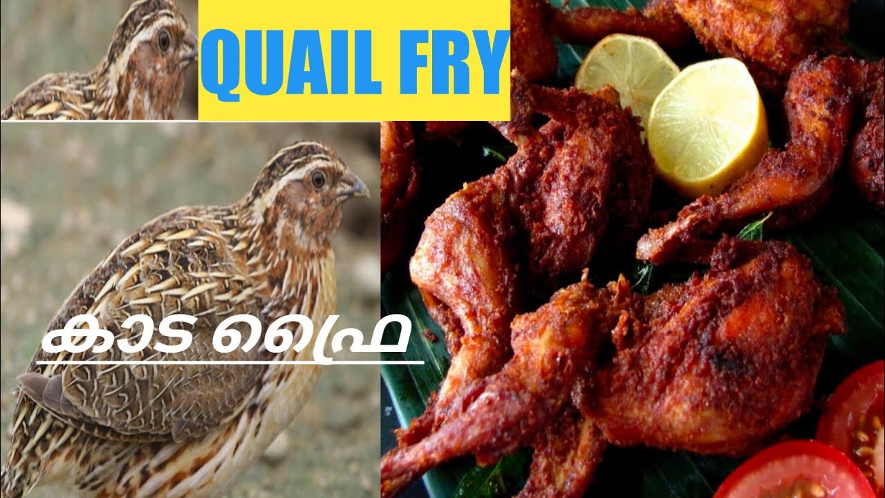 How to make QUAIL FRY kaada fry ഇതിന്റരുചിഒന്ന് വേറെതന്നെ കാടഫ്രൈ ...