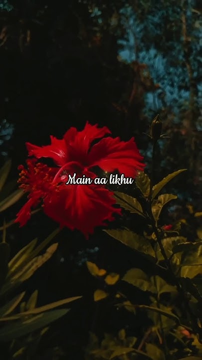 Main Aa likhu Tu Aa Jaye,💕 ||Ishq Song ️‍🩹||Lofi lovers 🥀 Aesthetic status #trending #youtube ...
