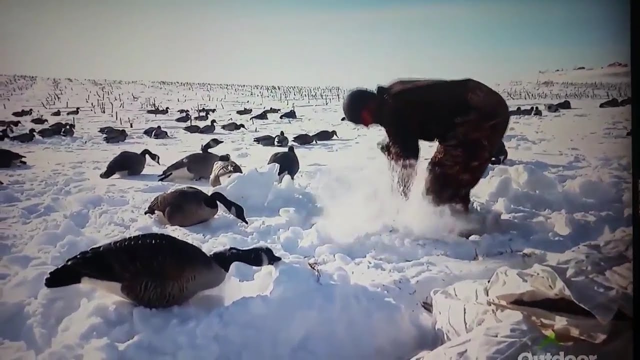 The Flush, Best Goose hunting,Canadian,Canada,North Dakota,snowy,cold ...