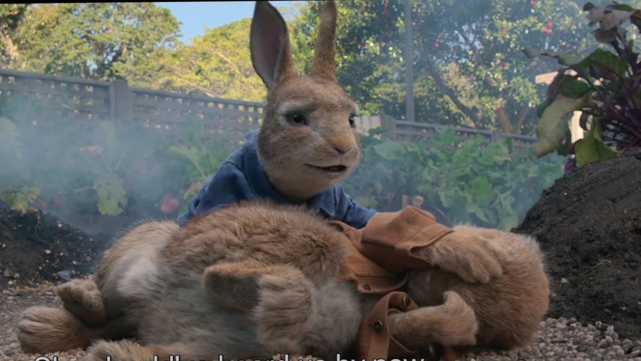 Blowing Up The Bunnies | Peter Rabbit | Clip 4K - YouTube