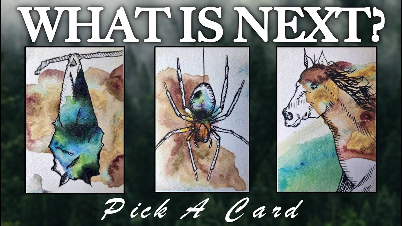 What Is Next? | Pick A Card | In-Depth Reading - YouTube