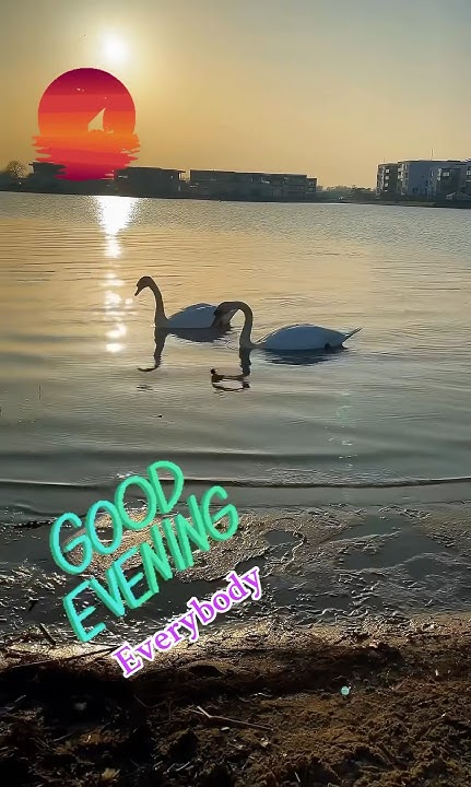 Good evening everybody - YouTube