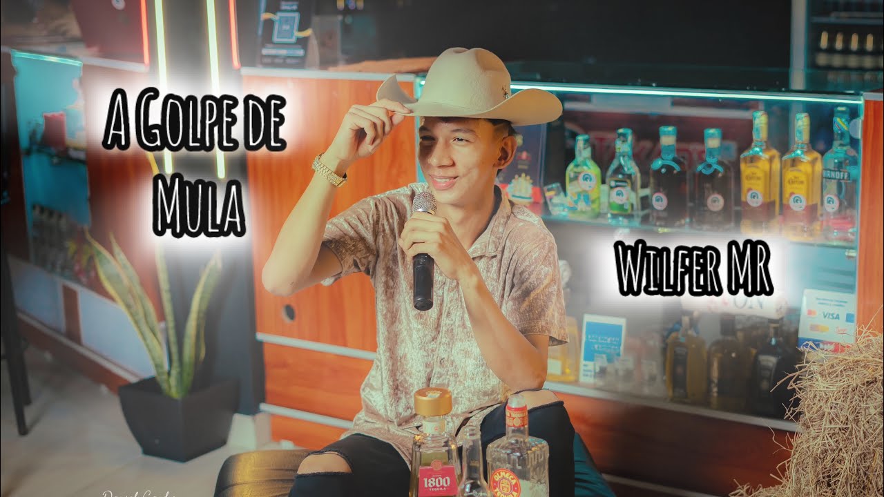 A Golpe de Mula - Wilfer MR Cover (VideoClip)🍺 - YouTube