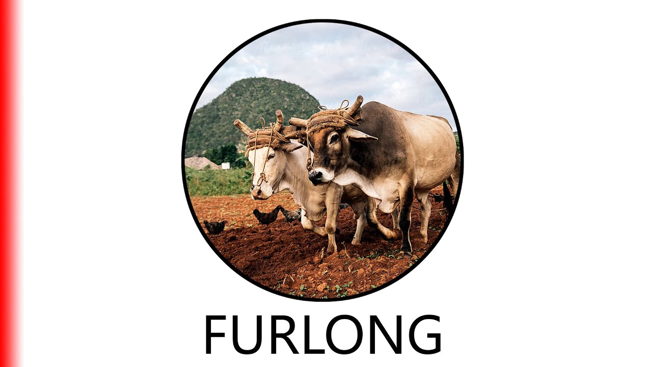 FURLONG. - YouTube