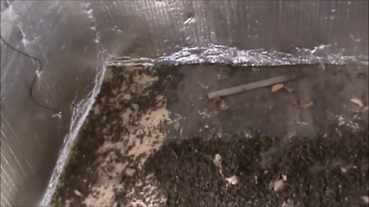 How I made a small honey bee wintering shed - YouTube