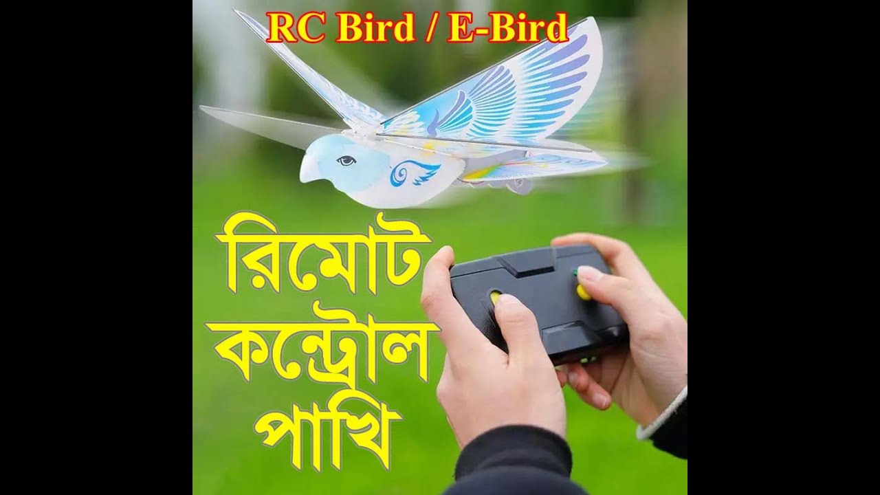 Remote Control Bird RC Bird Bangla Review RC pigeon e-bird pigeon price ...