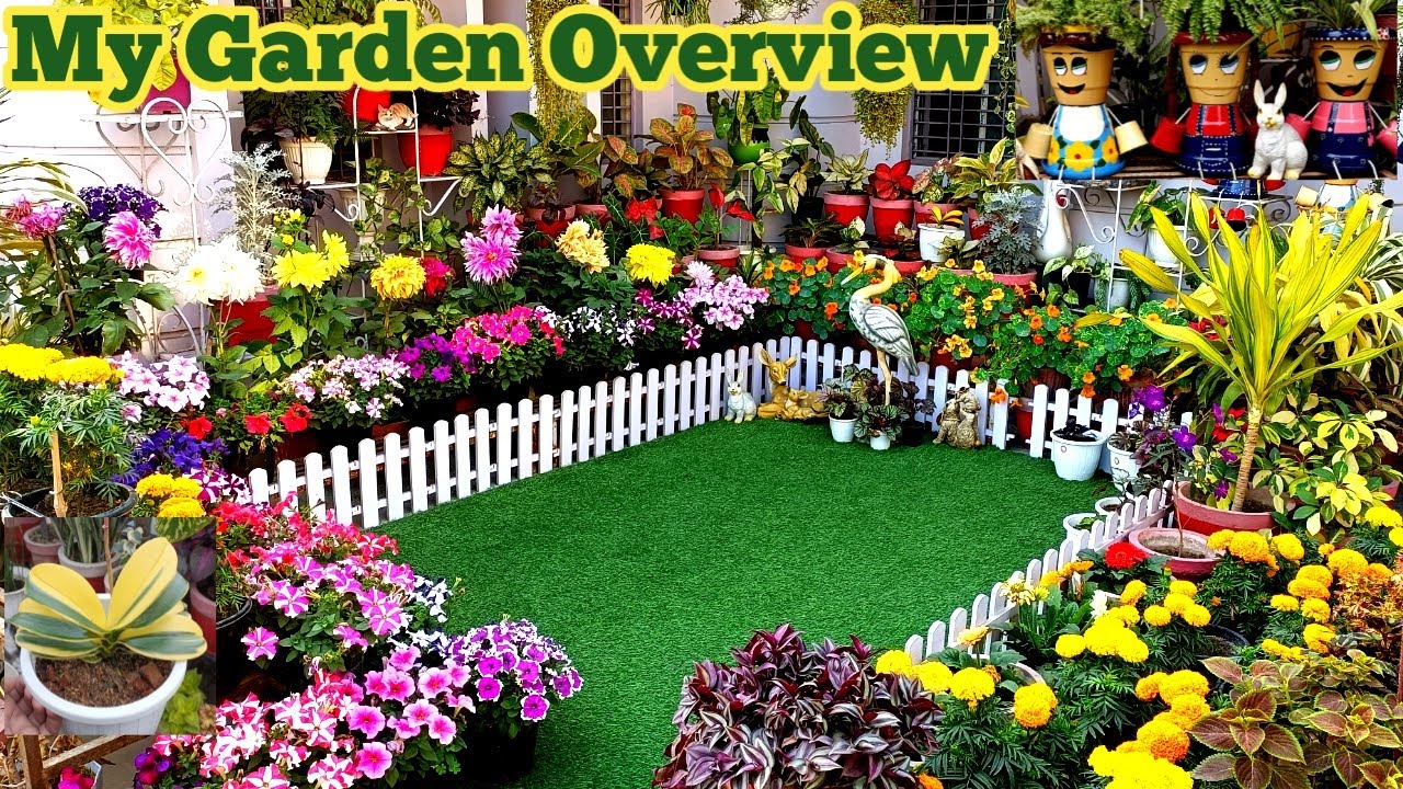 My Garden Overview 2024 - YouTube