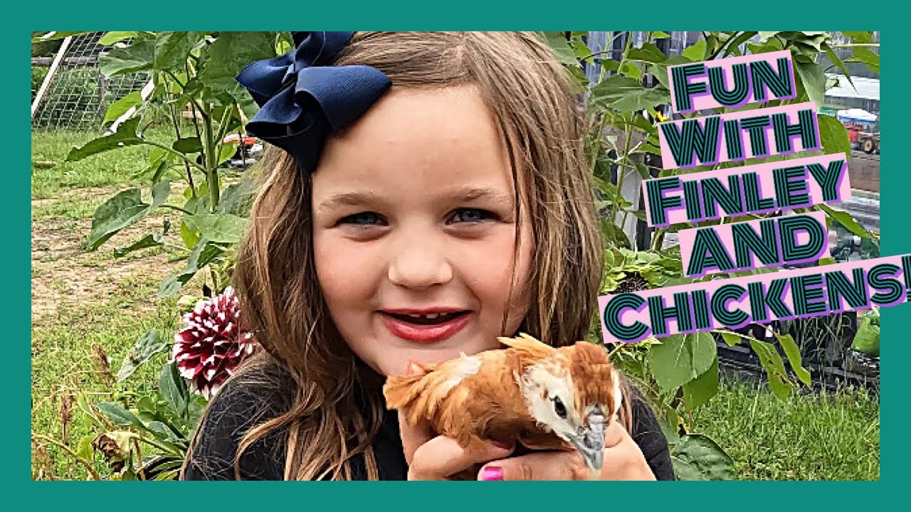 Fun with Finley and her Baby Chicks! Finley shows you her favorite ...