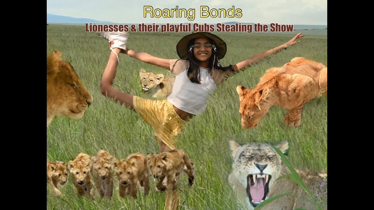 🦁In the heart of the wild:Capturing playful lion cubs and caring ...