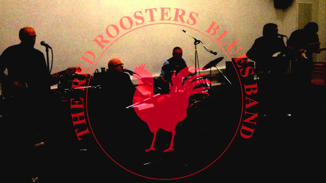 The Red Roosters Blues Band: All I wanna do - YouTube