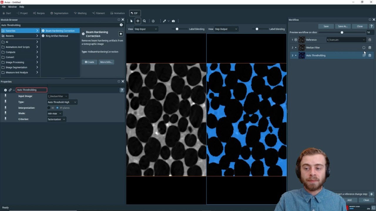 How to use the Amira or Avizo Software image recipe designer workroom ...