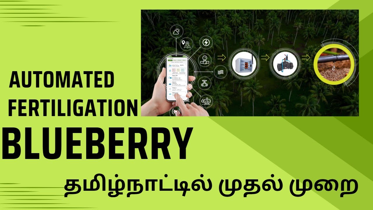 BLUEBERRY 🫐 GROWING IN TAMIL NADU 😮😮😮- FULLY AUTOMATED FERTIGATION ...