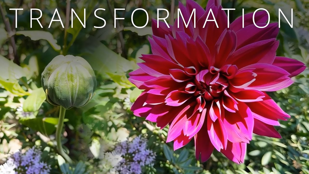 Transformation (Relaxing Music / Self-Guided Visualization) - YouTube