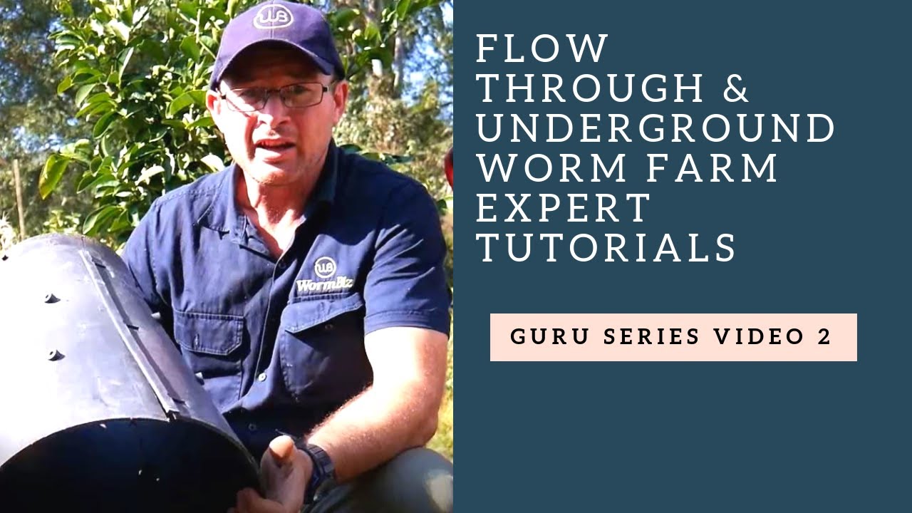 Worm Farm Guru series Video 2 Flow Through and Underground - YouTube
