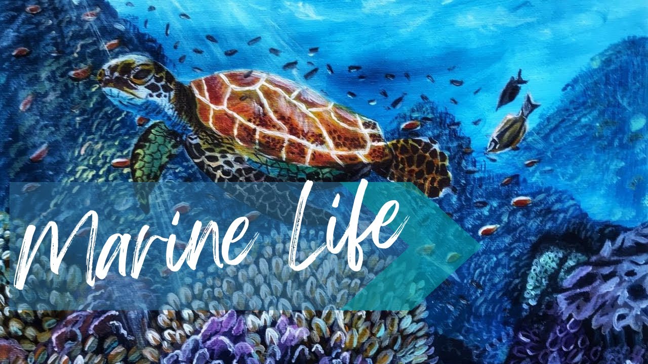Underwater Seascape Painting / Sea turtle painting tutorial / How to ...