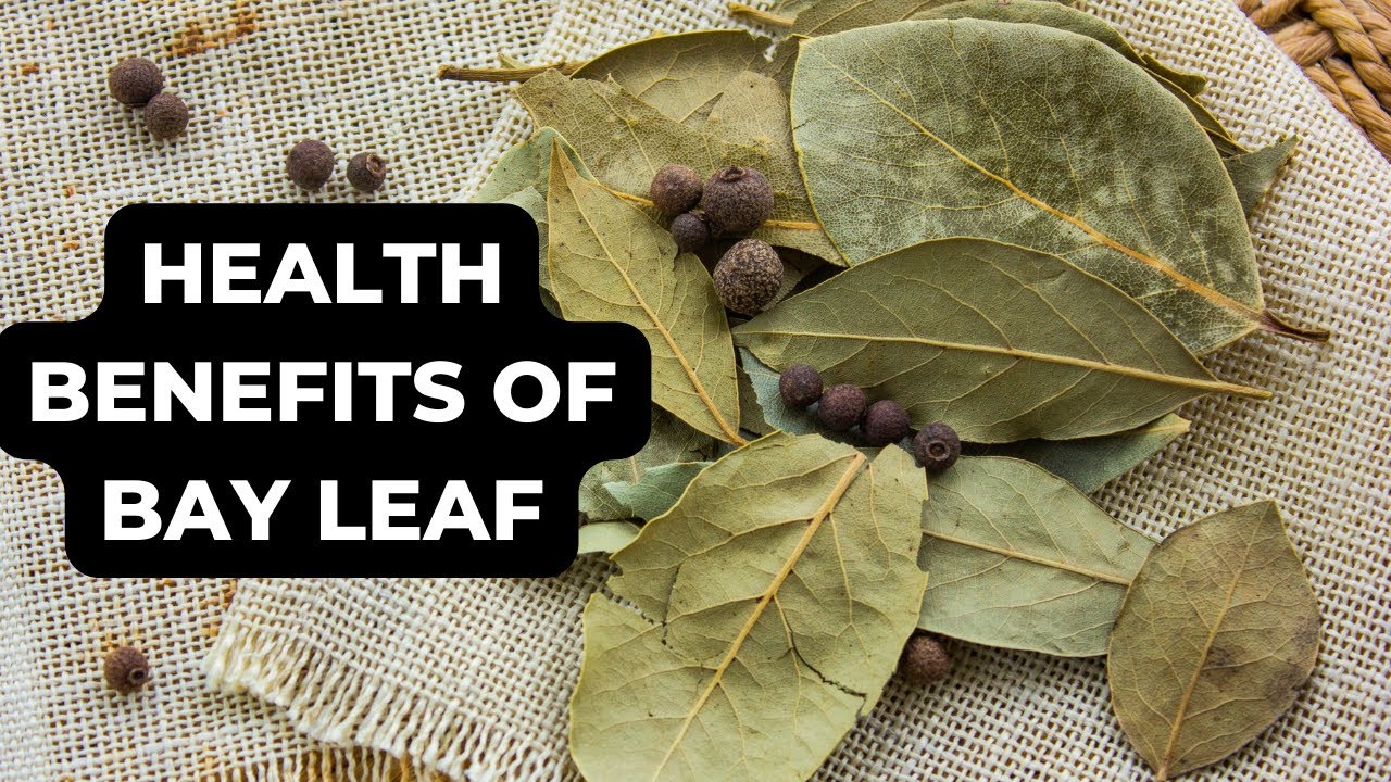 Bay Leaf Health Benefits: Unlocking the Healing Potential of Nature's ...