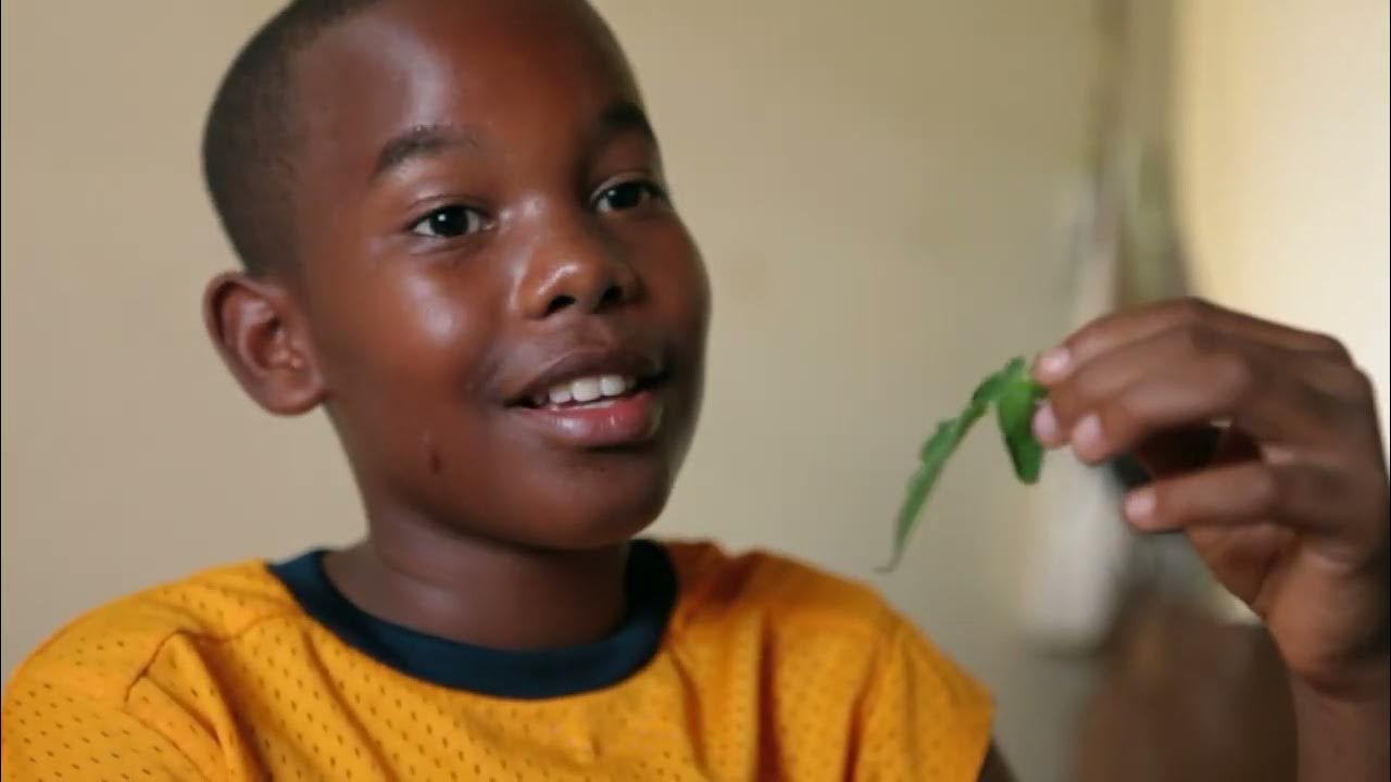 Là où je dors - Pipo - YouTube