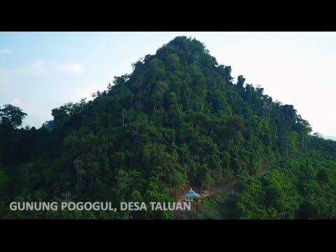 POGOGUL DAN WISATA BUDAYA | KABUPATEN BUOL - YouTube