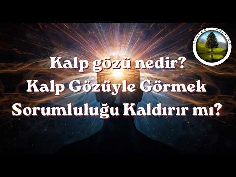 Kalp gözü nedir? Kalp Gözüyle Görmek Sorumluluğu Kaldırır mı? | Synergy Kendiyas |