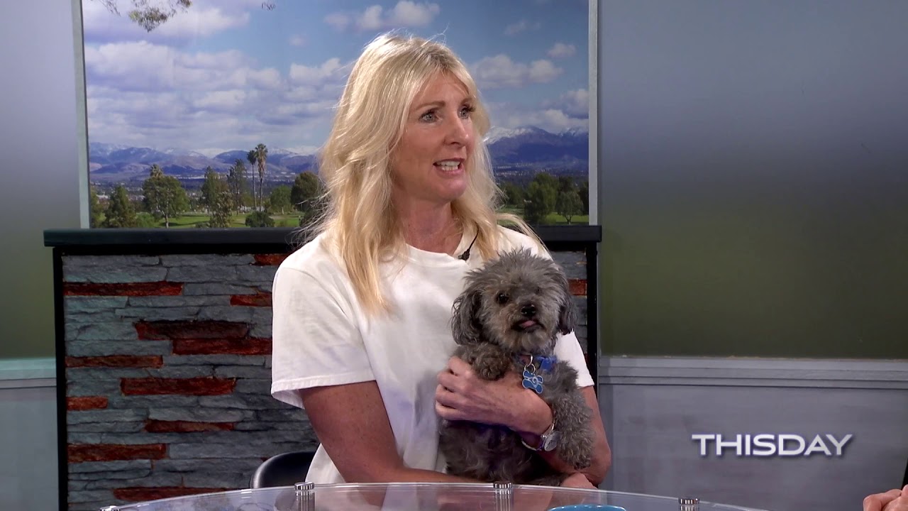 Laguna Beach Animal Shelter, November 20, 2019 - YouTube