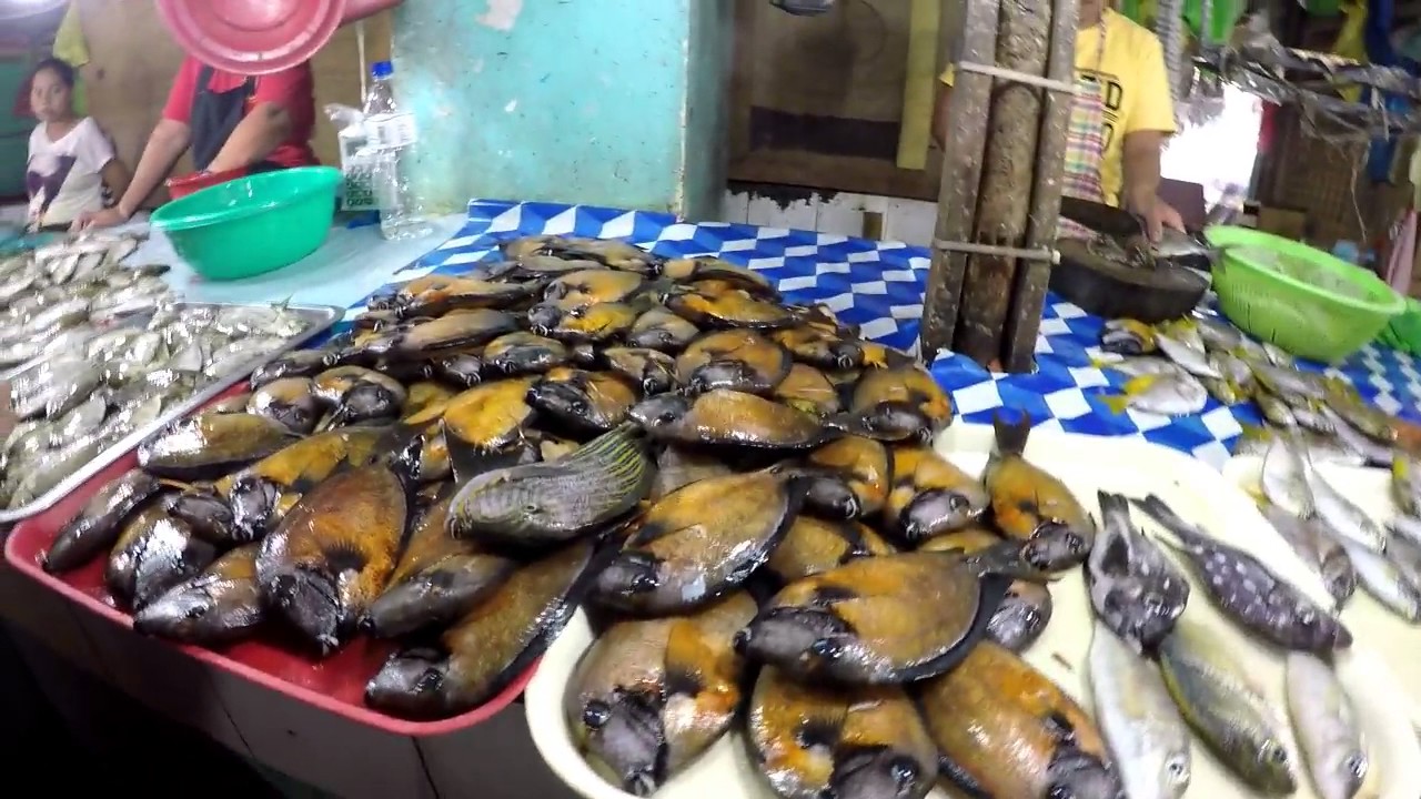 Quick tour Puerto Princesa, Palawan including city market, souvenir ...