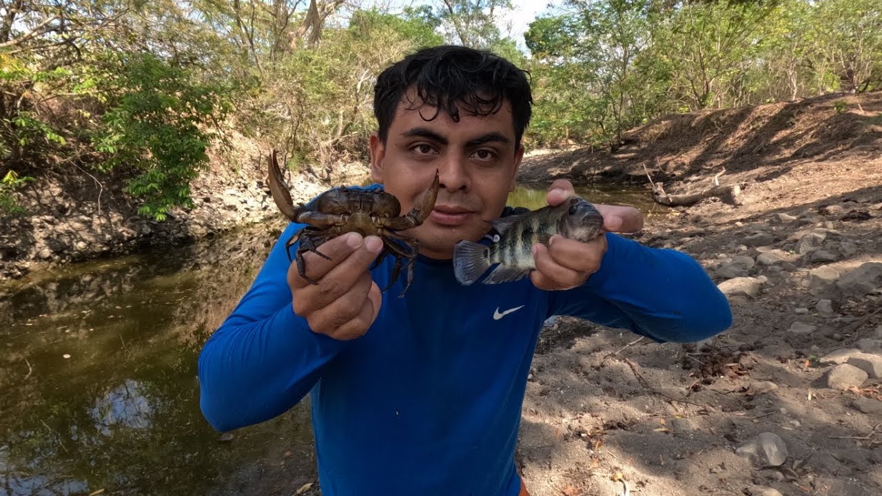 Asi se Atrapa Cangrejo y Mojarra Pesca Con Tarraya - YouTube
