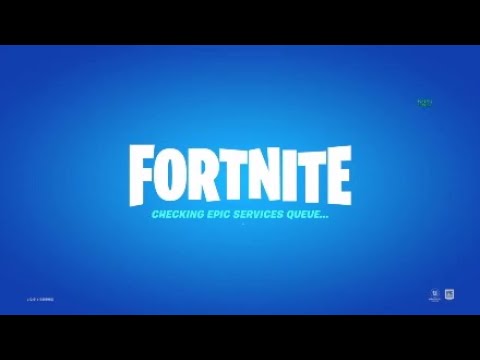 Fortnite checking epic services queue problem - YouTube