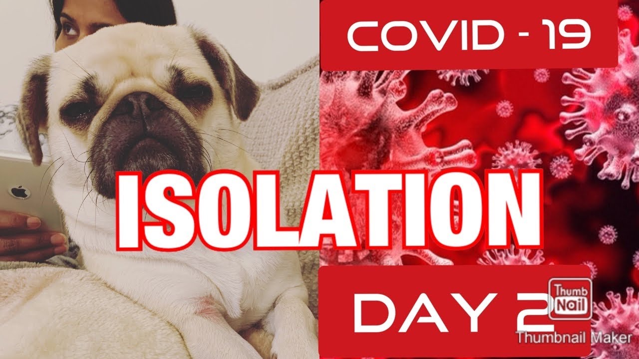 Day 2 Self Isolation | COVID 19 | Coronavirus VLOG - YouTube
