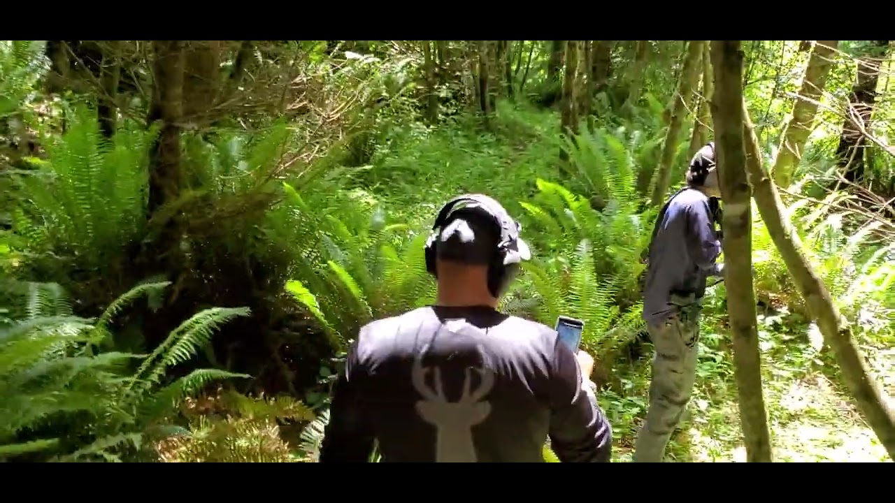 Colton Woods Walk - YouTube