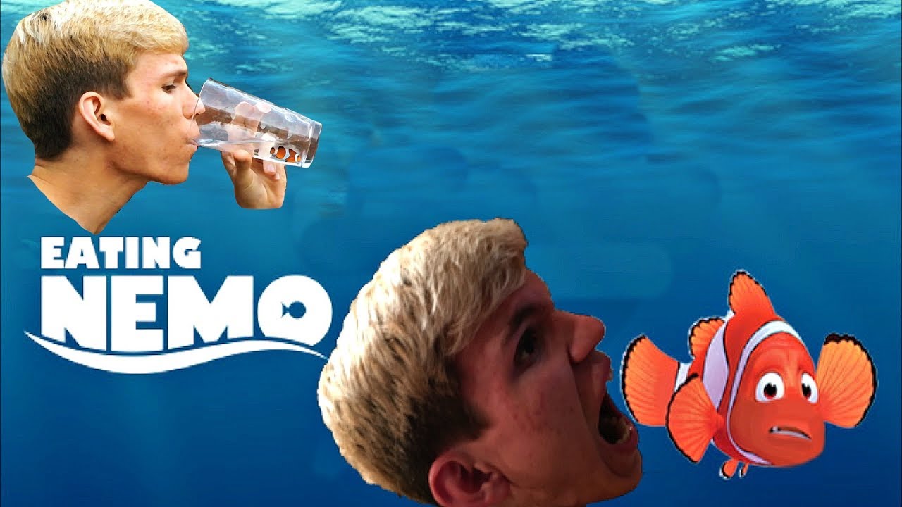 Swallowing Live Fish (EATING NEMO) - YouTube